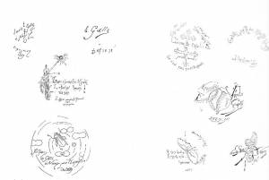 Vraie ou Fausse SIGNATURE d'une Vase GALLÉ ? | Michael Vessiere