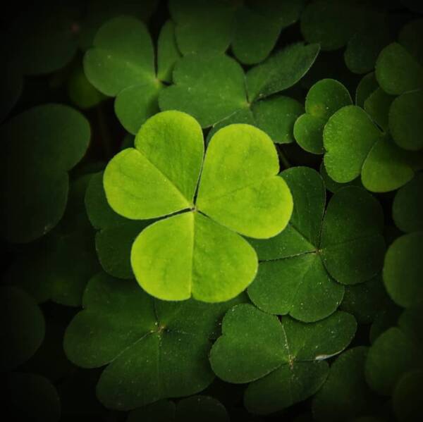 Porte-Bonheur, 25 Objets et Talismans qui vous porterons chance ! - MV