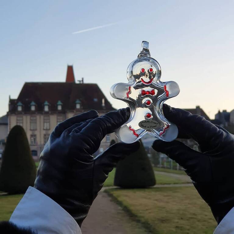 Pourquoi la cigogne est un symbole en Alsace ? Michaël