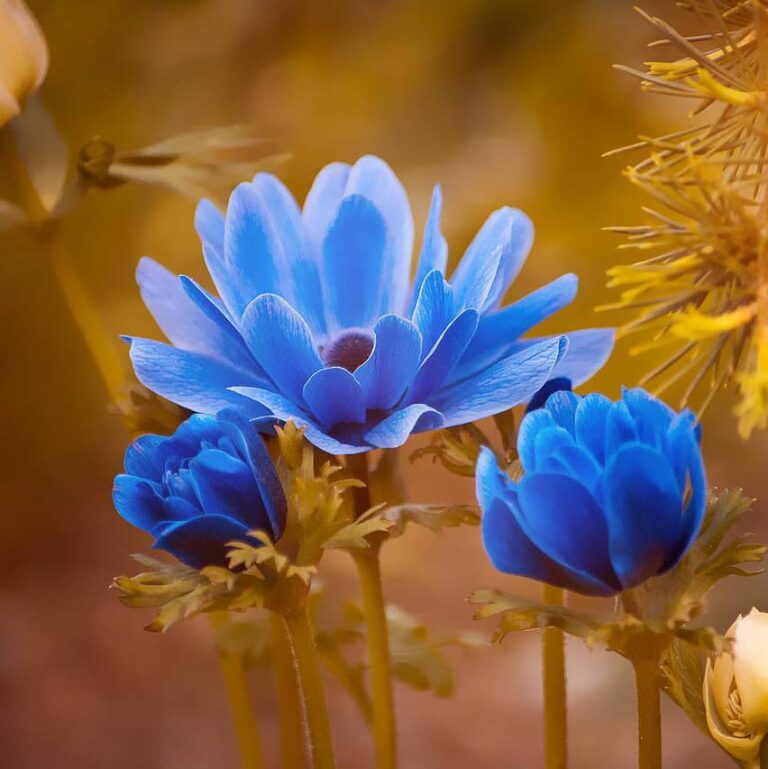 Les 5 significations du bleu - Michaël Vessière