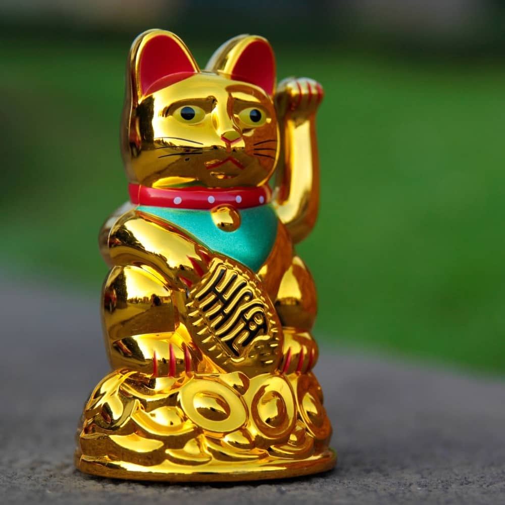 Chat porte-bonheur, connaissez-vous maneki-neko