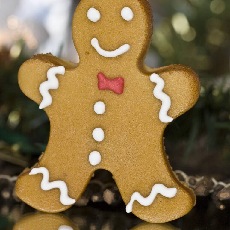 Le Mannele Alsacien, origine et tradition - Michaël Vessière