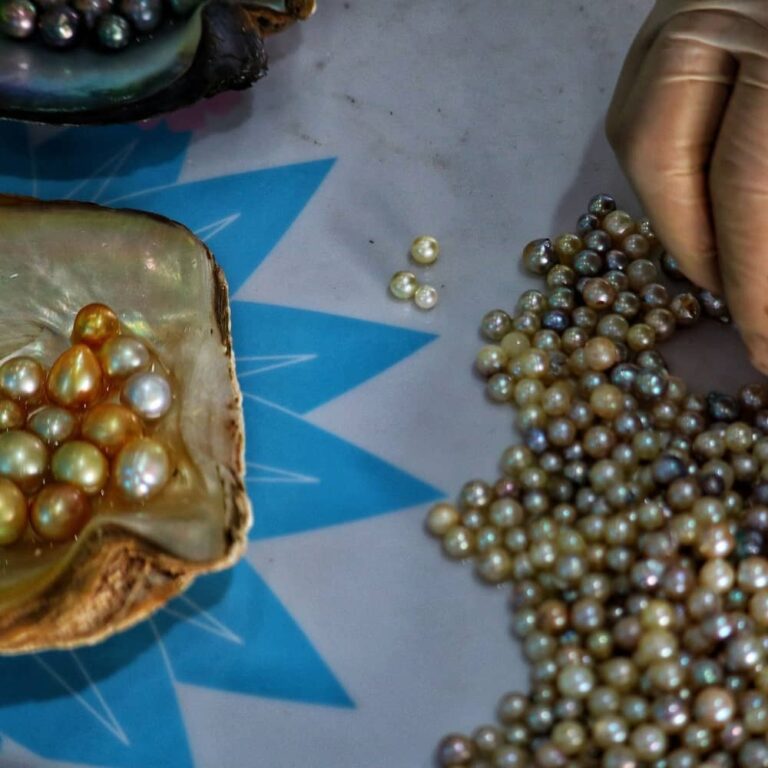 Bien choisir sa perle de culture (histoire, origine, signification ...