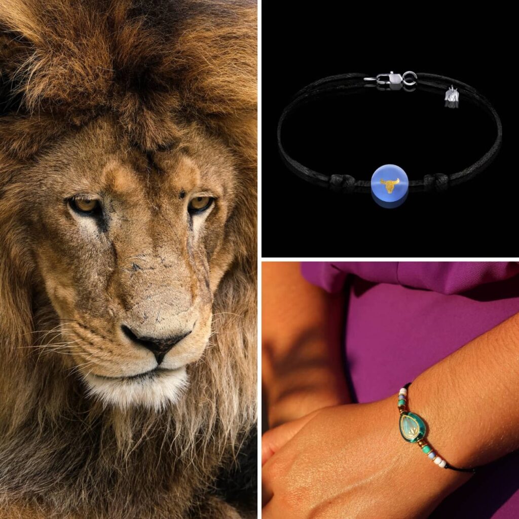 Les 5 symboles de la force - Michaël Vessière