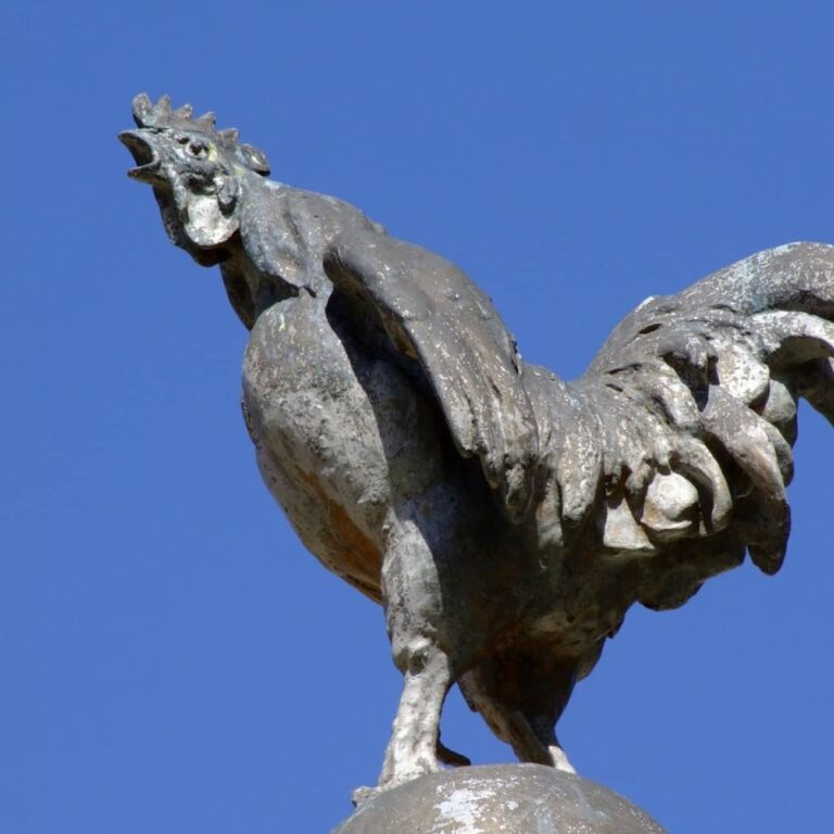 Pourquoi le coq est le symbole de la France ? Michaël Vessière